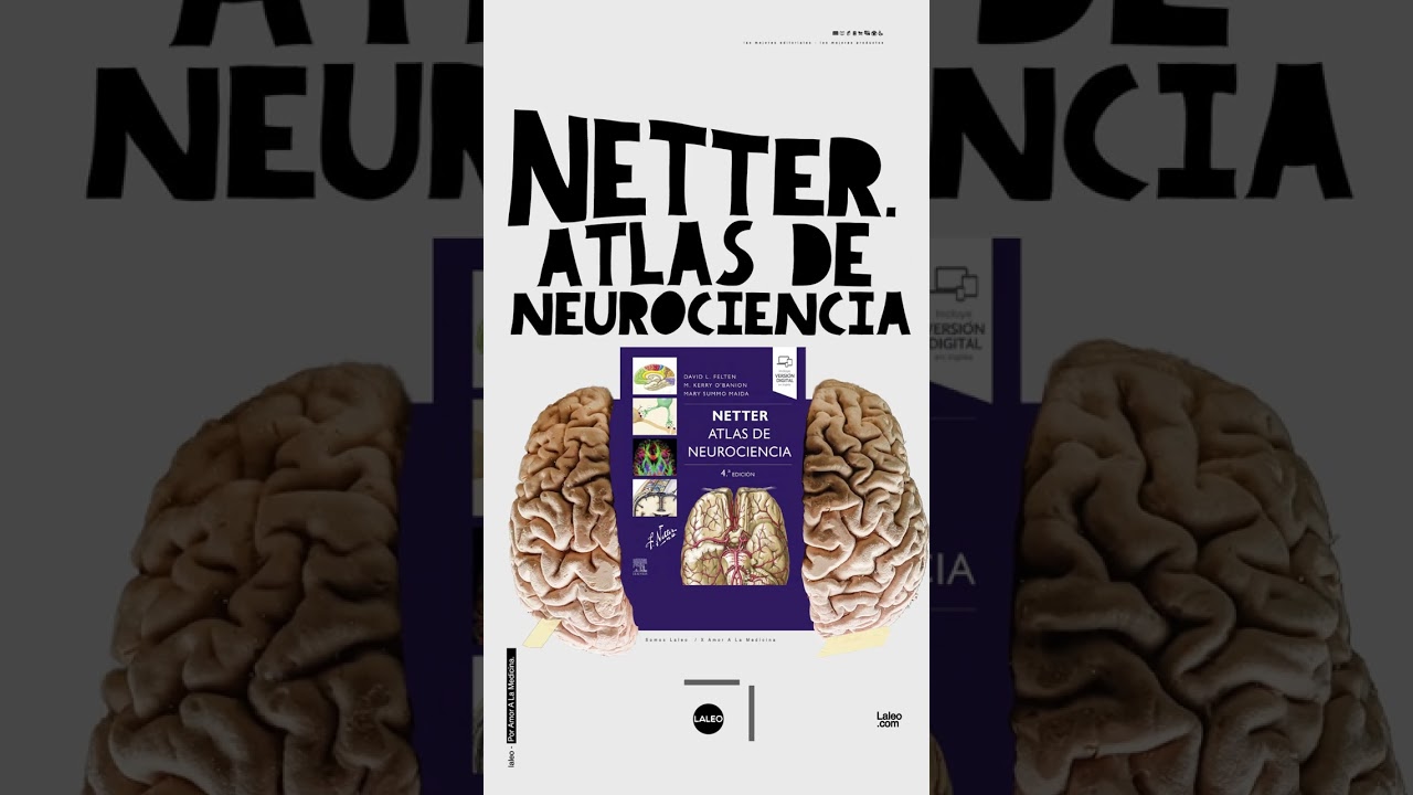 Netter. Atlas de neurociencia
