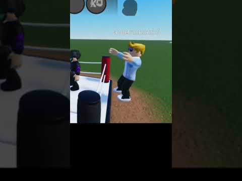 the shadow boxing experience