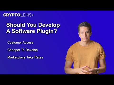Developing a Software Plugin