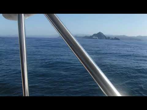 Dinghy and outboard on davits while sailing 2021