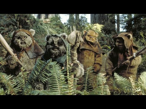 Visit the Real Forest Where Ewoks Fought the Empire | Star Wars Endor Location Tour