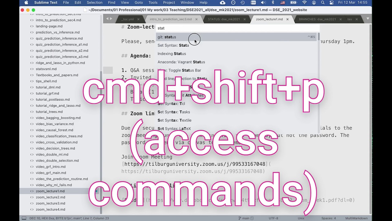 Sublime project and git functionality