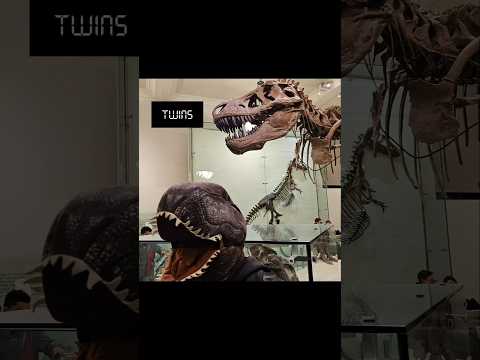 The American Museum of Natural History