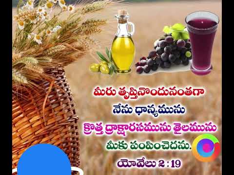 Grain and new wine and oil