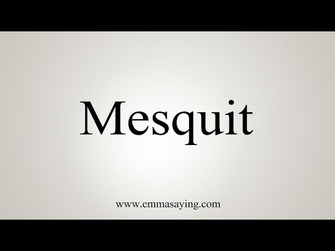 How To Say Mesquit