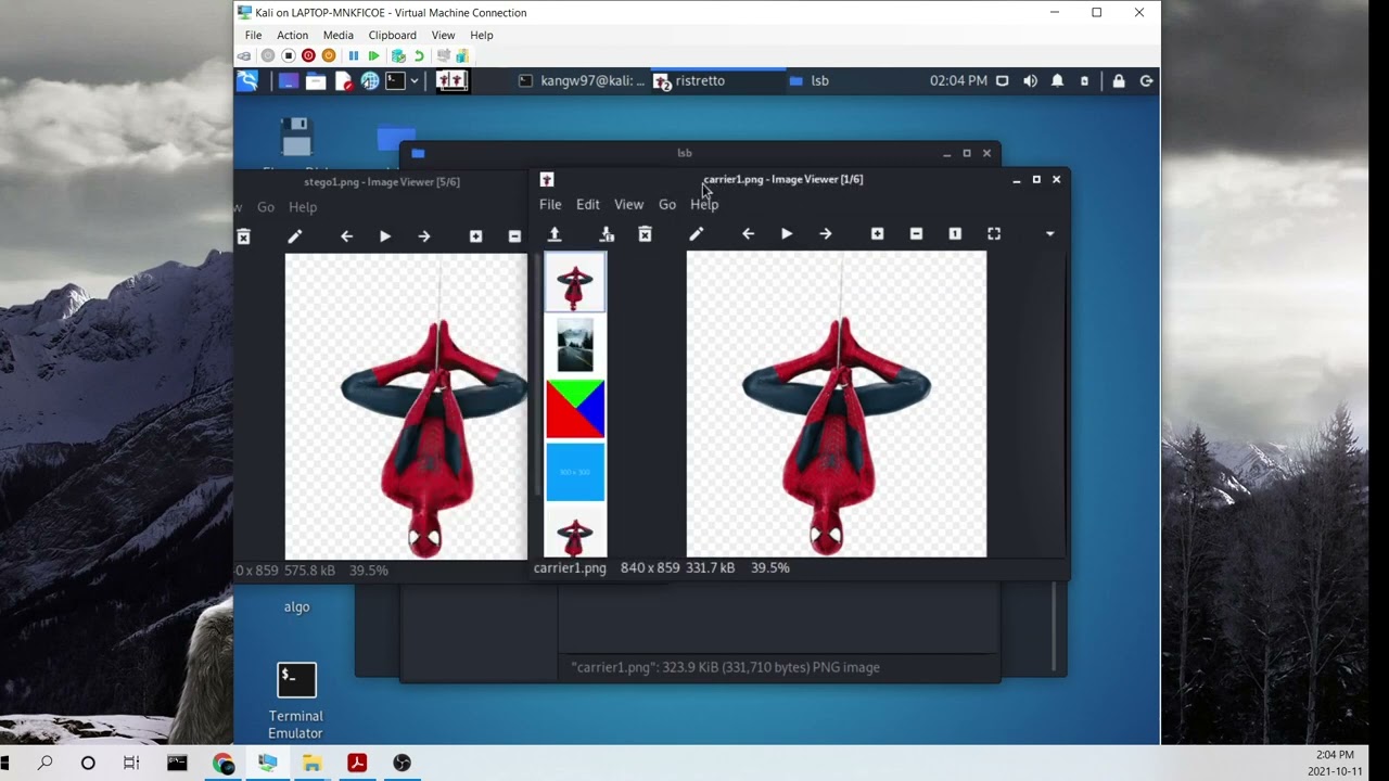 LSB Stego Steganography Application