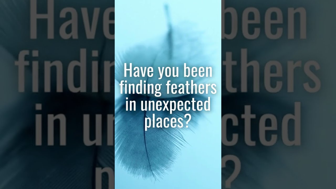 Angel Sign: Feathers #Shorts