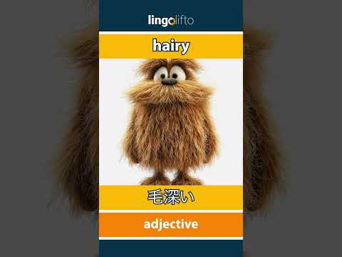 🇬🇧🇯🇵 hairy - 毛深い : learn English : 英語を学ぼう : vocabulary builder