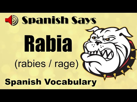 Rabia: How to Say / Pronounce Rabia - Rabies / Rage in Spanish | Spanish Says