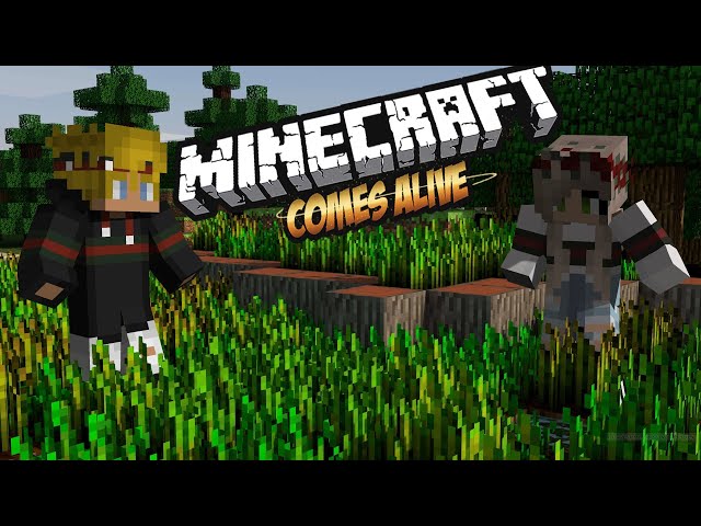 5 best NPC mods for Minecraft