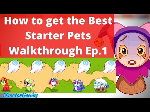 How to get STARTER PETS & WALKTHROUGH for New USERS: Prodigy Account Set up: Prodigy Math Game