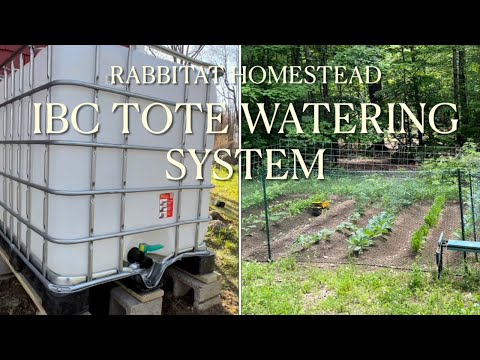 DIY Rain Catchment: Build Your Own IBC Tote System