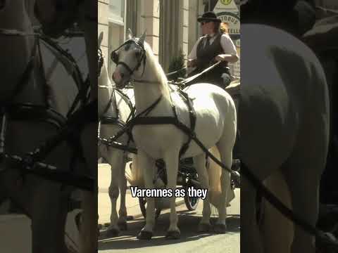 22nd June... King Louis XVI Captured Fleeing Paris 👑 | On This Day
