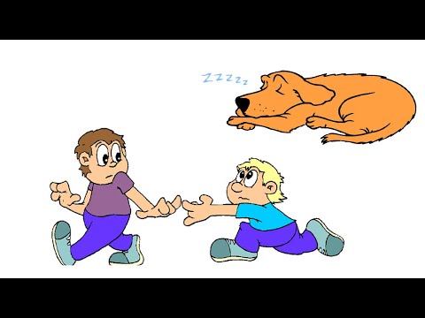 American Sign Language ASL Video Dictionary - duck