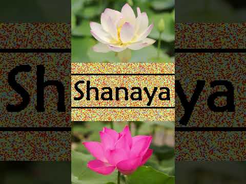 🌷 SHANAYA 🌷  | SHANAYA Lotus Status | SHANAYA - Peace