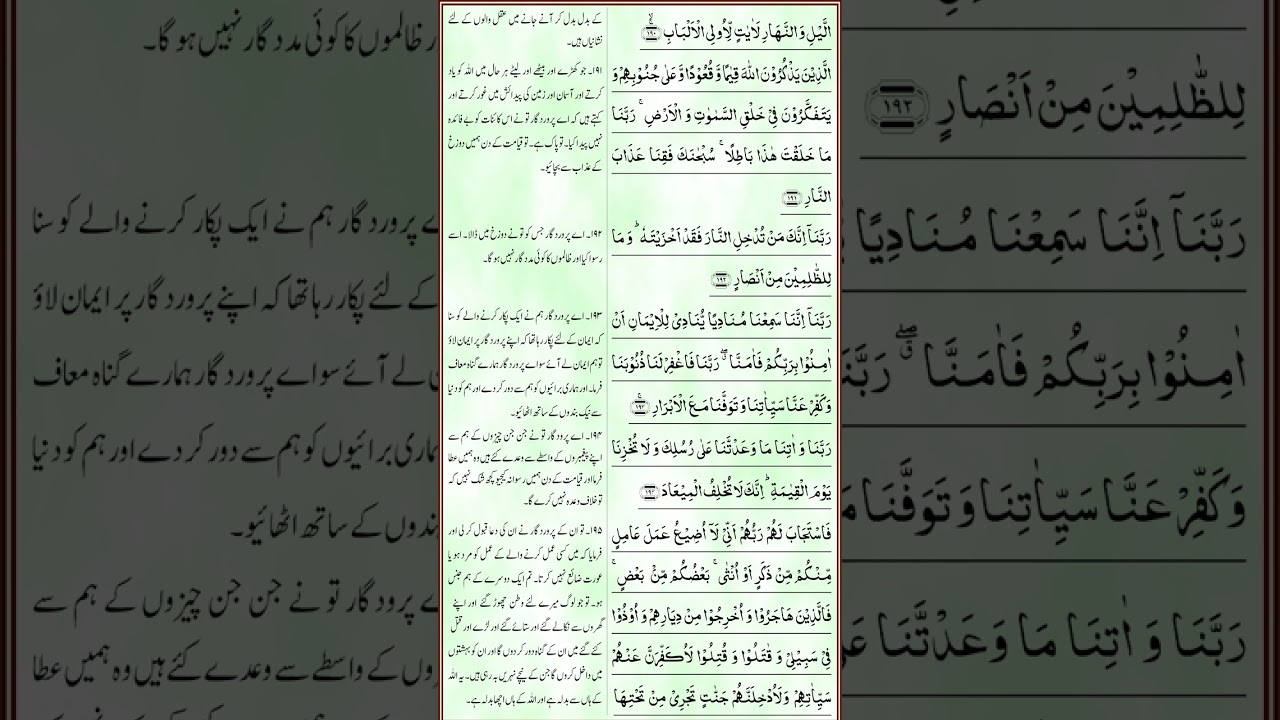 Quran Majeed Surah Al Imran verse 195