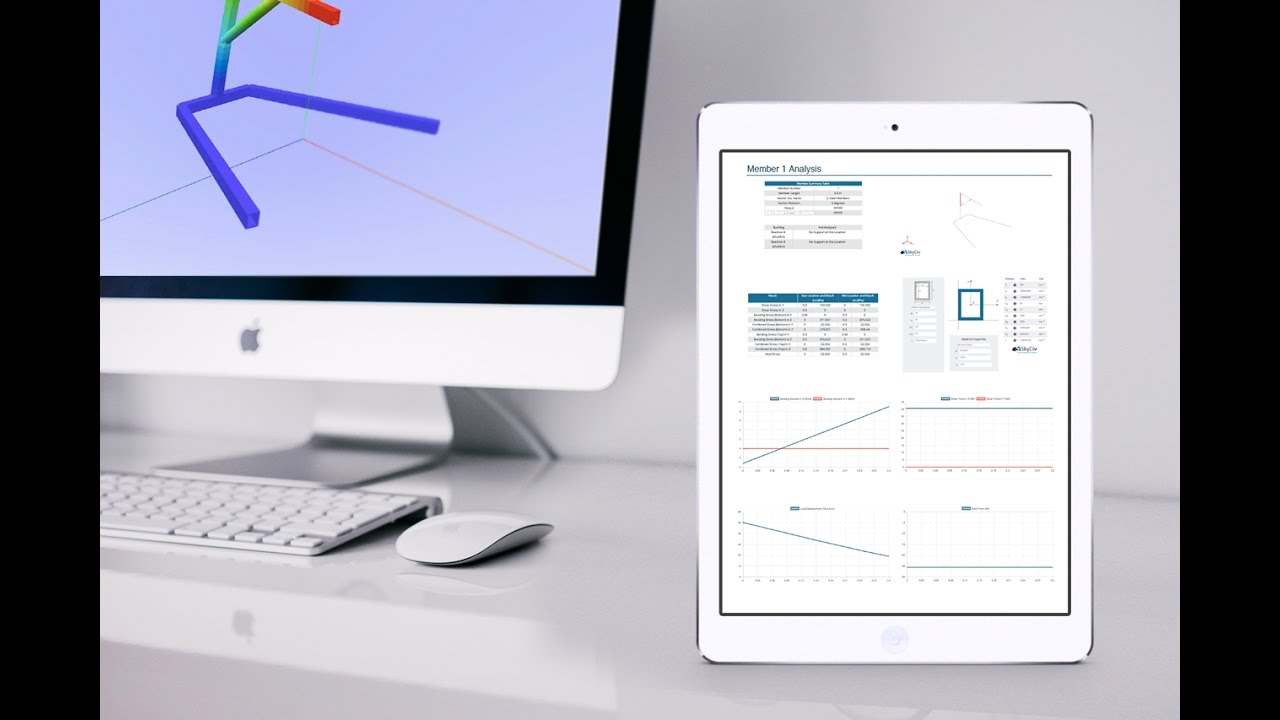 Single Member Reports | SkyCiv Cloud Engineering Software
