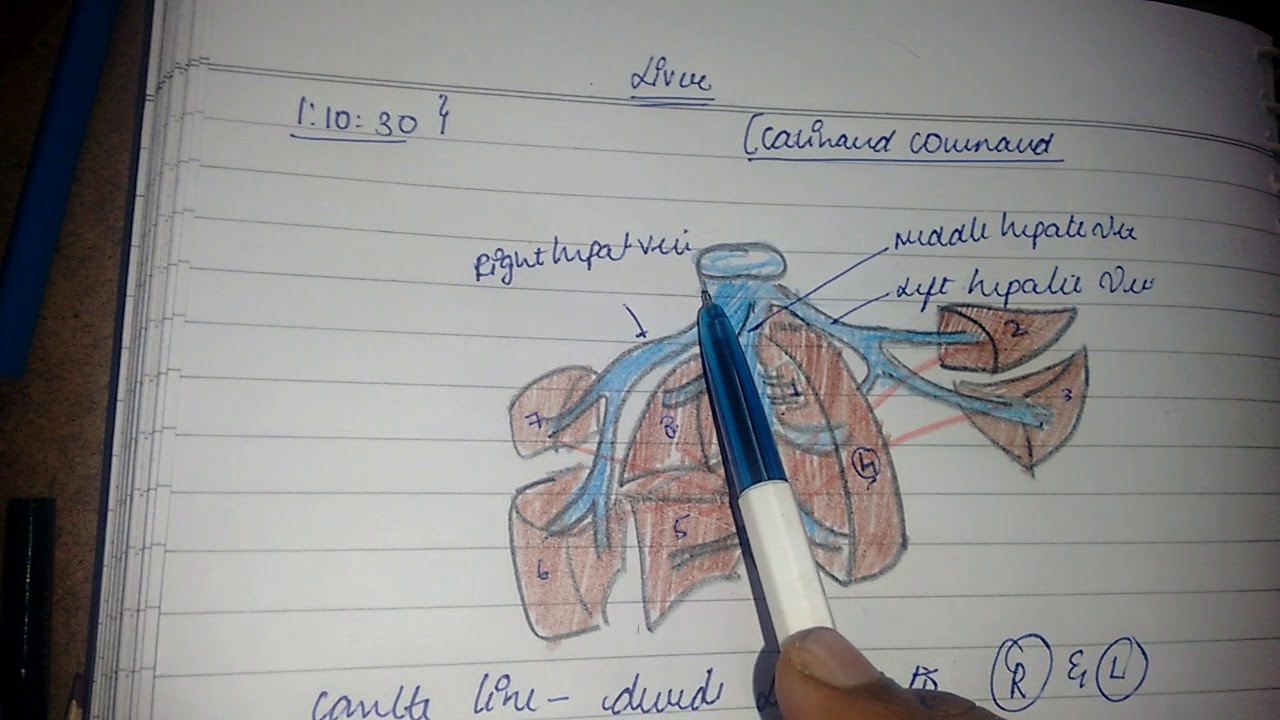 Live dams notes page 1