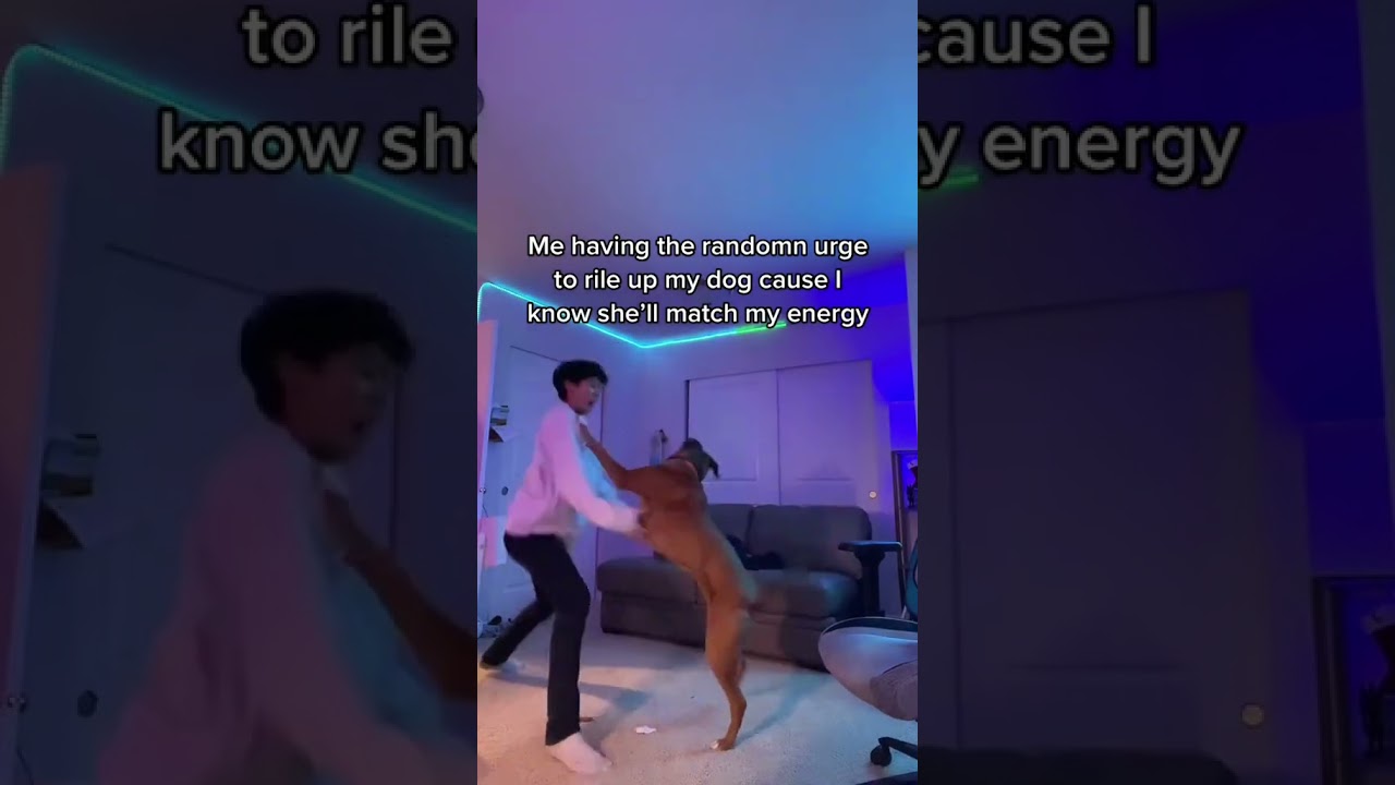 The urge to rile up your dog