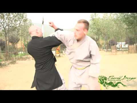 Shaolin Kung Fu