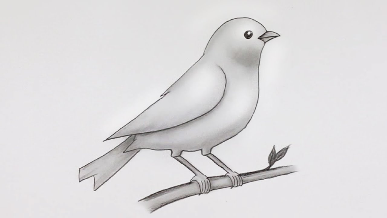 Simple Bird Drawing 🕊 | Easy Bird Pencil Sketch and Shading #drawing