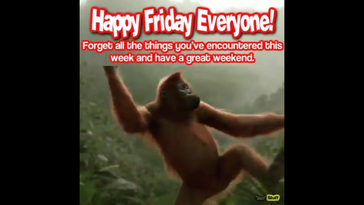 Orangutan Happy Friday Dance