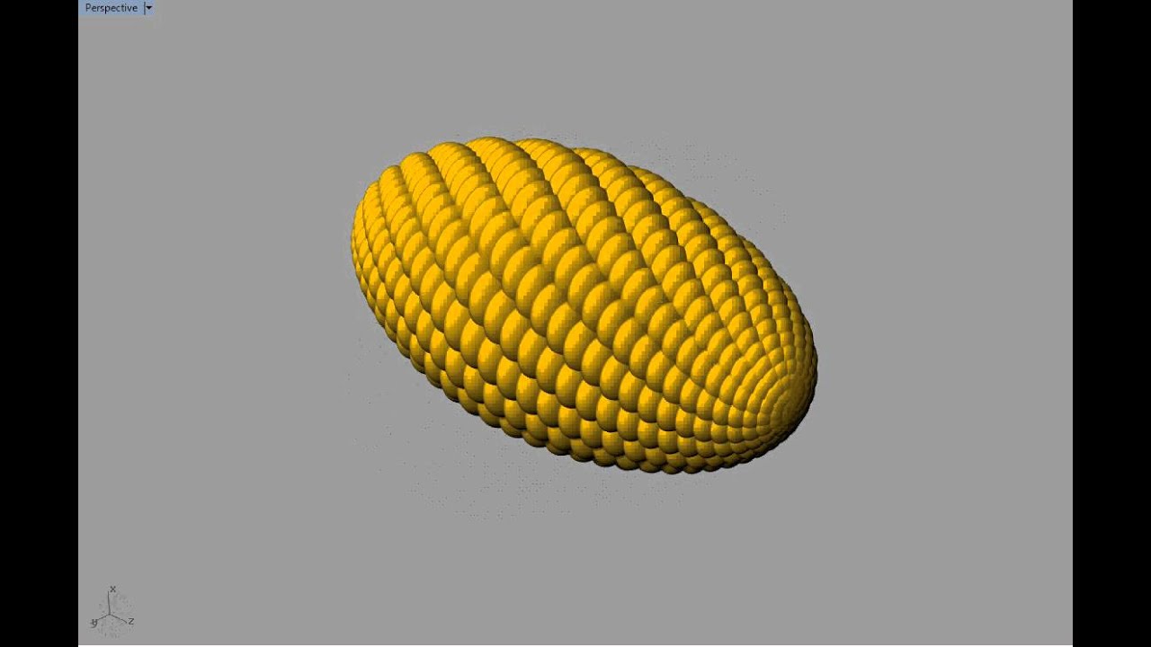 Corncob made with a rhinopython script