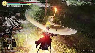 Sekiro Elden Ring and 10H 2B mod at Elden Ring Nexus - Mods and Community