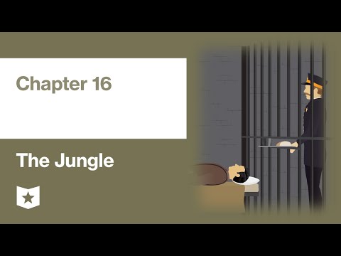The Jungle Study Guide | Course Hero