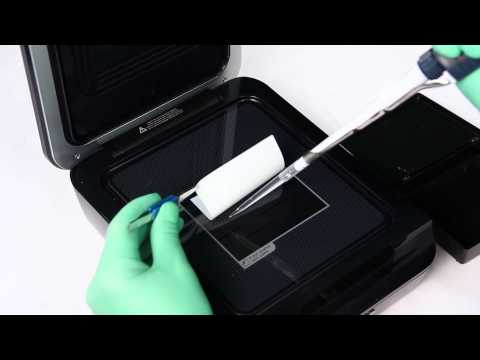 Gel Documentation System - Gel Imaging System Latest Price ...