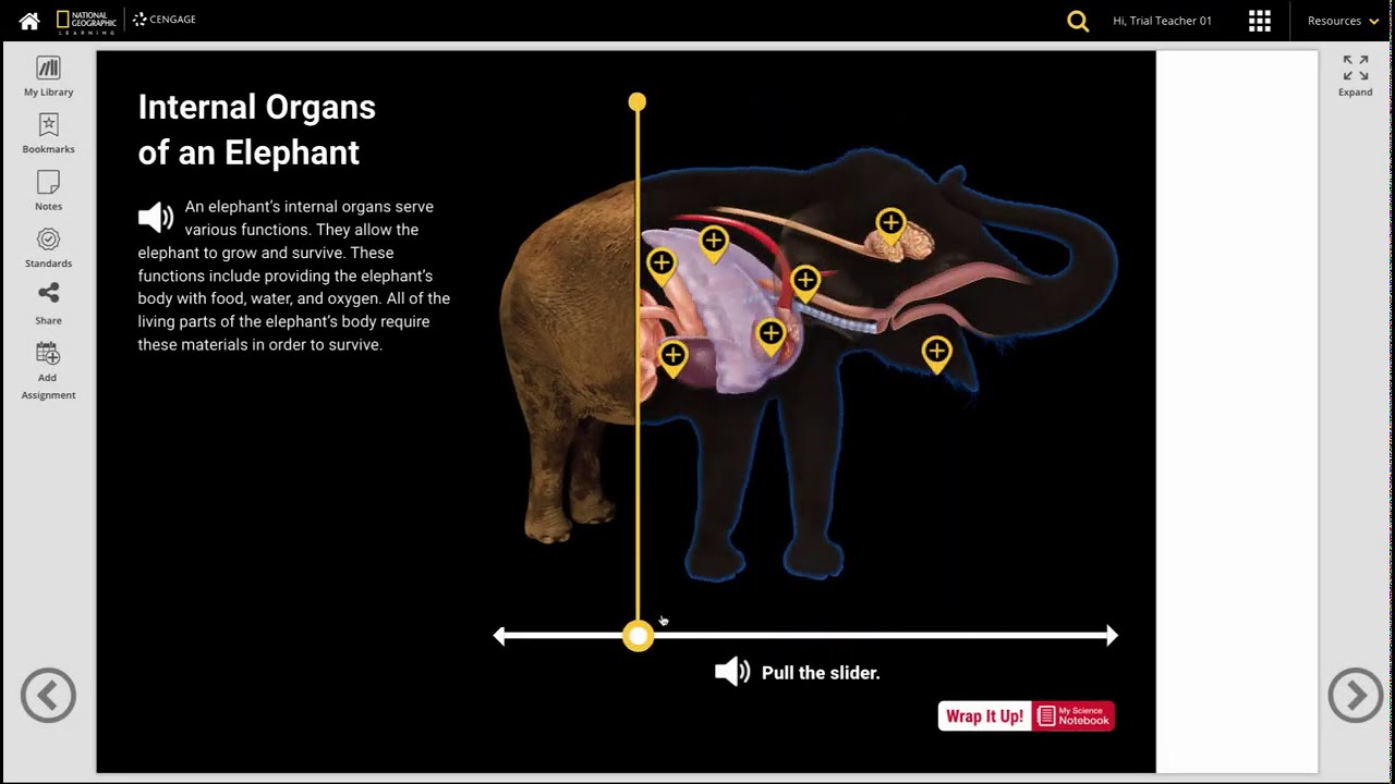 MindTap Overview Video