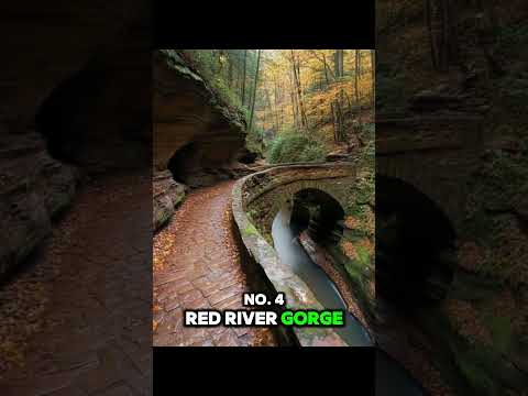 Top 5 Places to Visit in Kentucky | Ultimate Travel Guide 2025 #KentuckyTravel #VisitKentucky #fyp