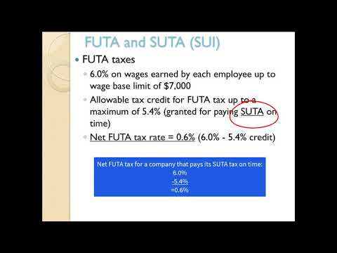Calculating Employer Payroll Taxes