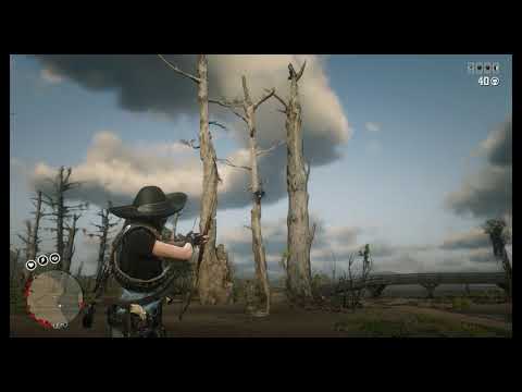 Steam Community :: Video :: RDR2 Online Lagras