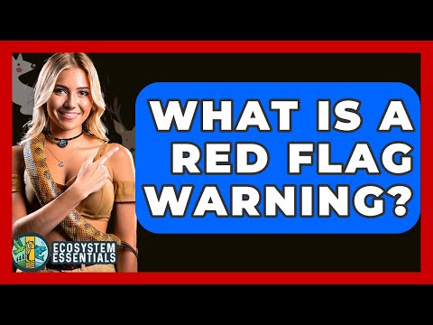 What Is A Red Flag Warning? - Ecosystem Essentials