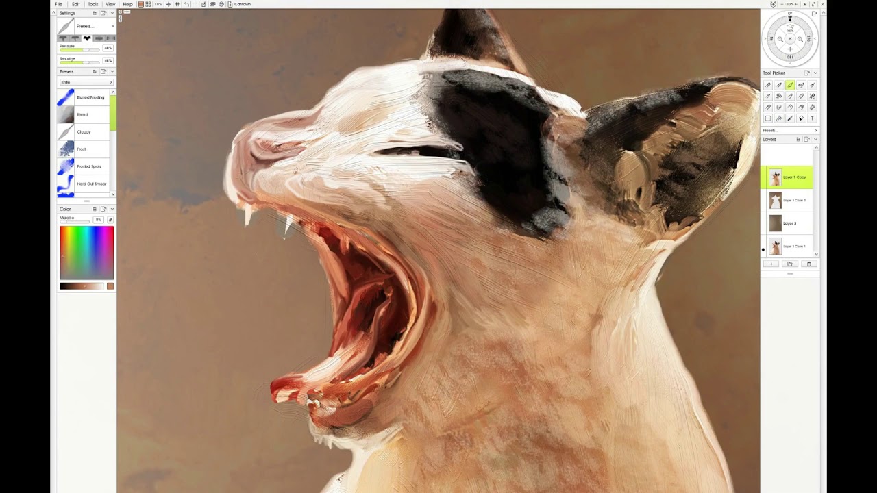 TimeLapse CatYawn using ArtRage