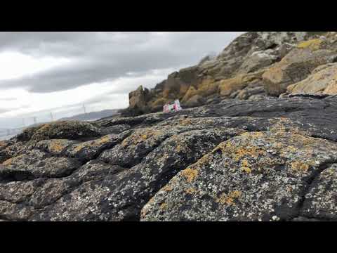 RC Technical Rock Crawl