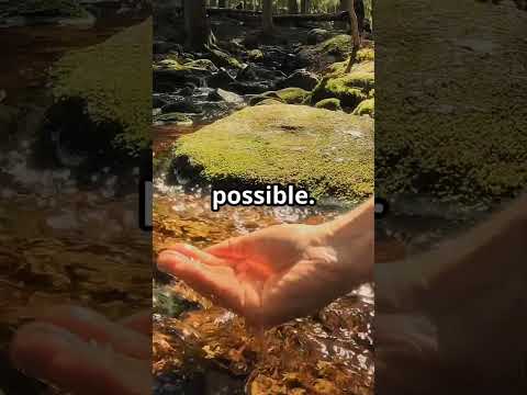 3 Wilderness Survival Skills That Could Save Your Life! #WildernessSurvival #SurvivalSkills
