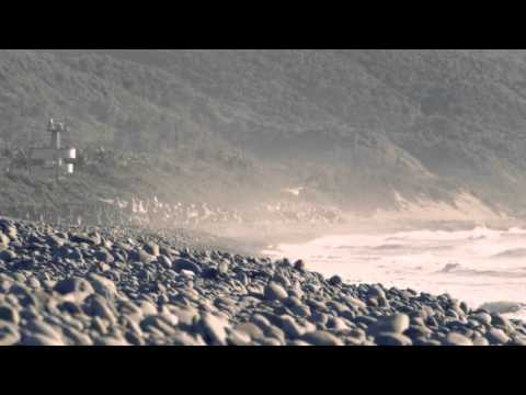 The Plutonian Jukebox – Ocean Foam by Cicada. – ouch,