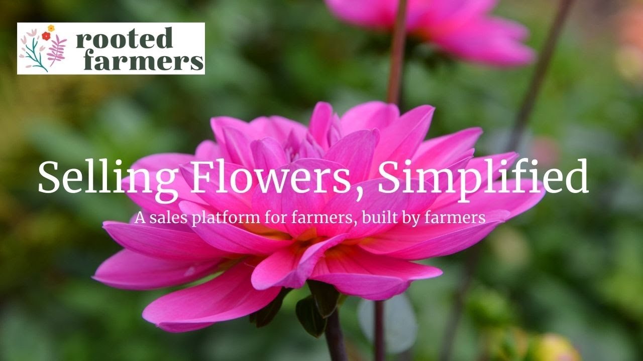 Selling cut flowers simplified with Rooted Farmers