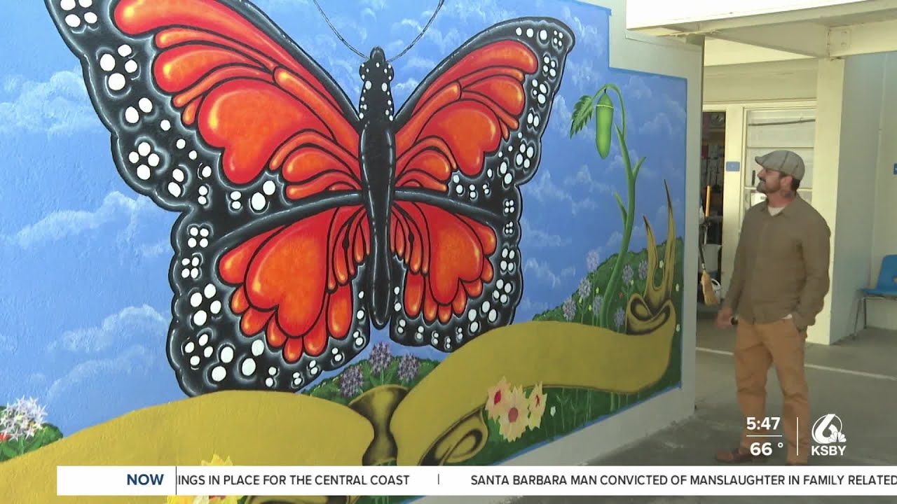 Local artist returns to elementary school, makes murals