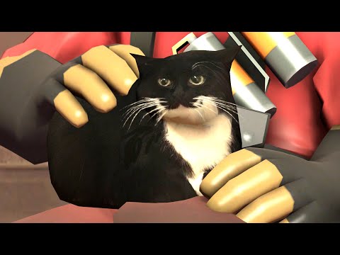 Steam Community :: Video :: [SFM TF2] Pyro pets a cat