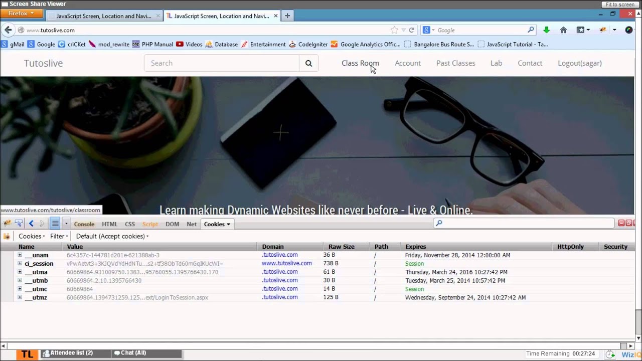 JavaScript Screen Location and Navigator Objects 4/4