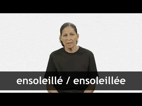 English Translation of “ENSOLEILLÉ” | Collins French-English Dictionary