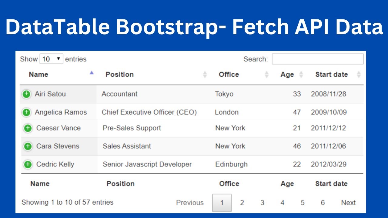 DataTable Bootstrap 5 : Fetch API data and Display in DataTable using JavaScript