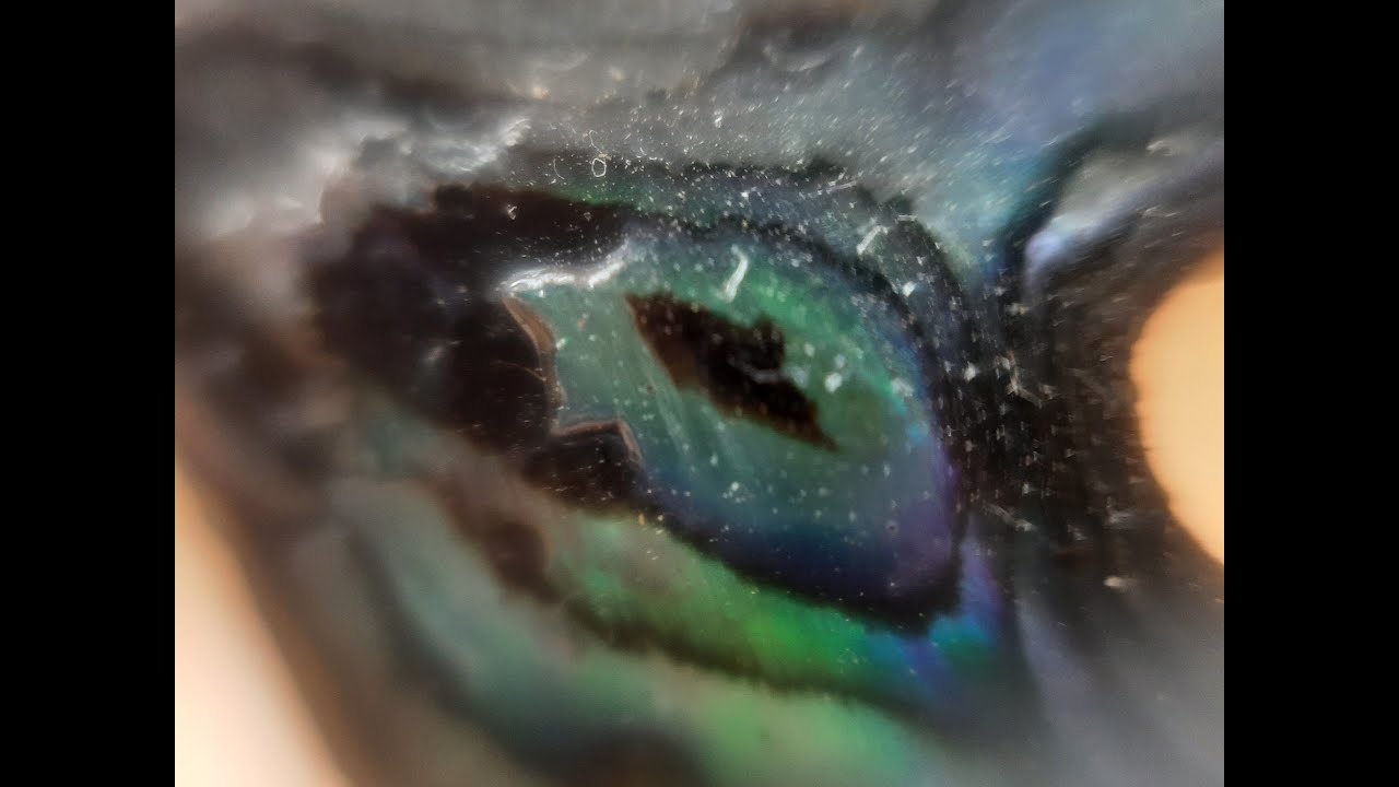 Polydimethylsiloxane (PDMS) Lens - Tutorial