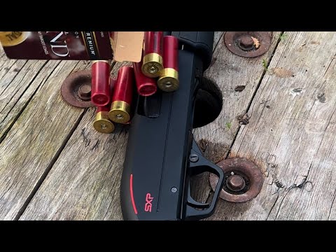 THE Winchester SXP #shorts
