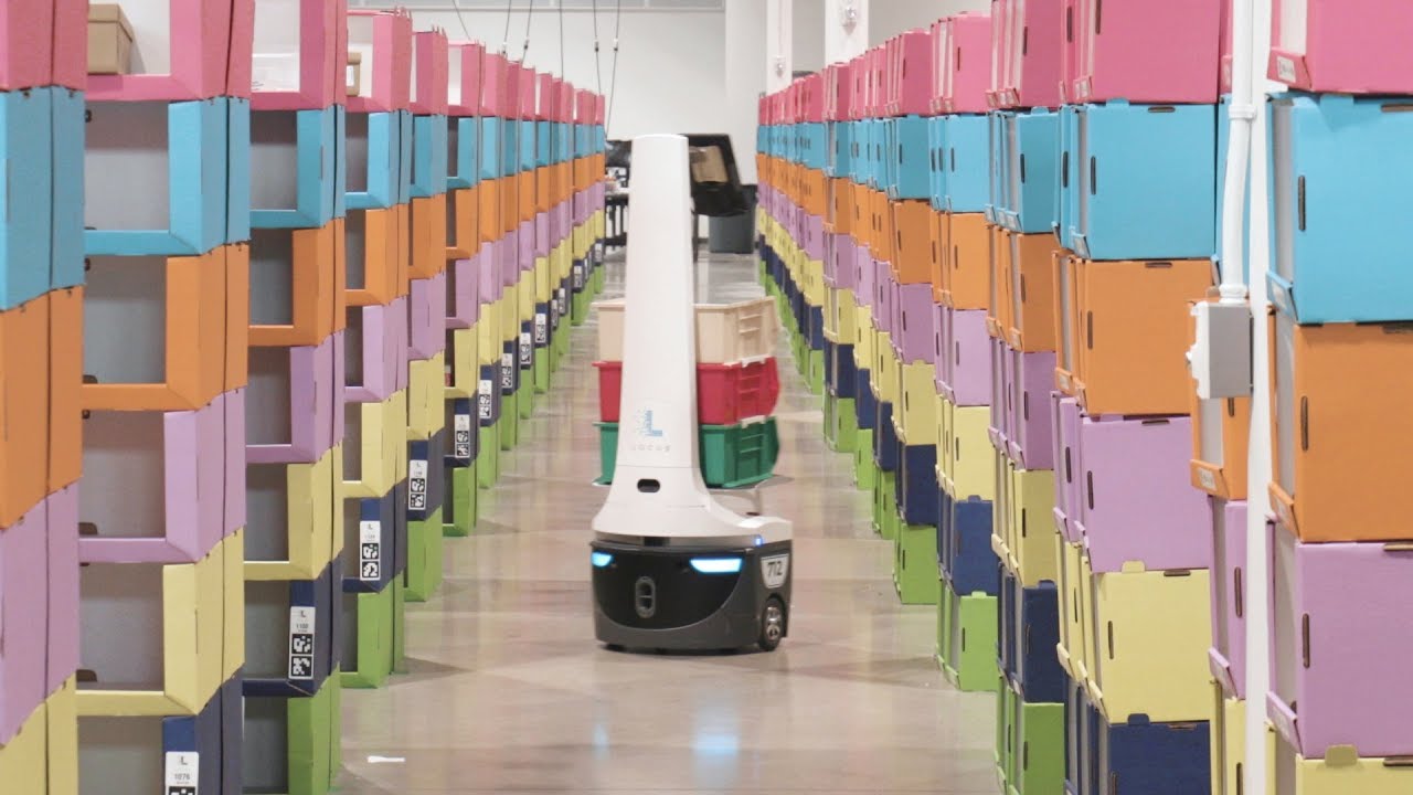 Locus Robotics - Marleylilly Case Study (Short Version)