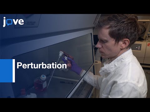 Cell-cell Fusion of Genome Edited Cell Lines for Perturbation | Protocol Preview