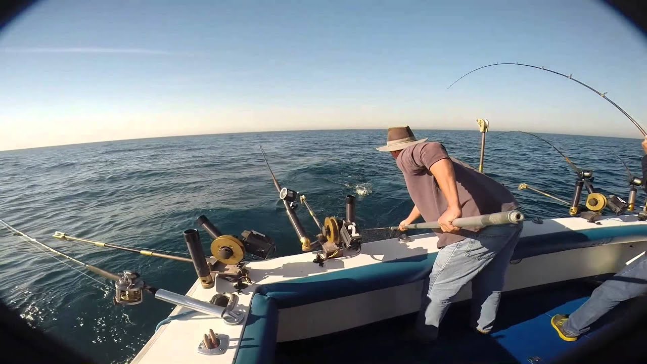 Video Grid Gallery - Angler Charters